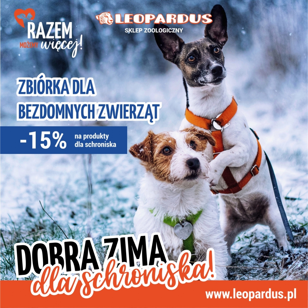 Promocje najemców Cuprum Arena ∙ Galeria Handlowa Lubin